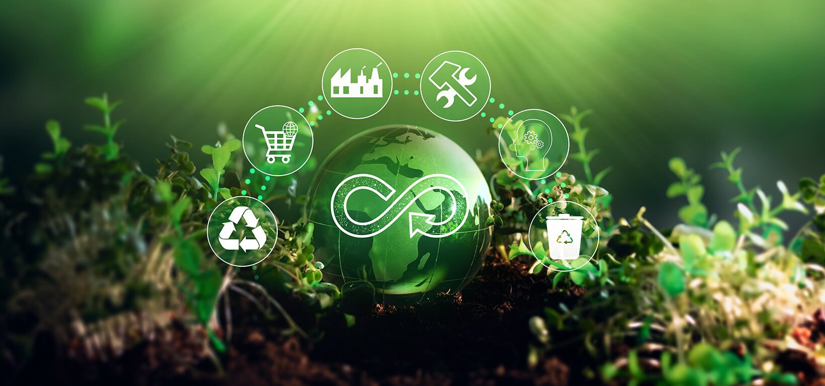A circular economy creates the ultimate sustainable loop - InDepth