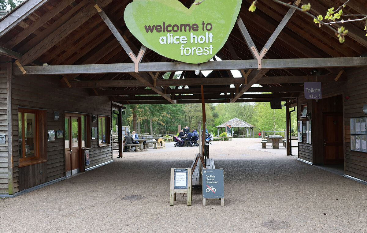 Tender: café at Alice Holt Forest Centre, South Downs National Park ...